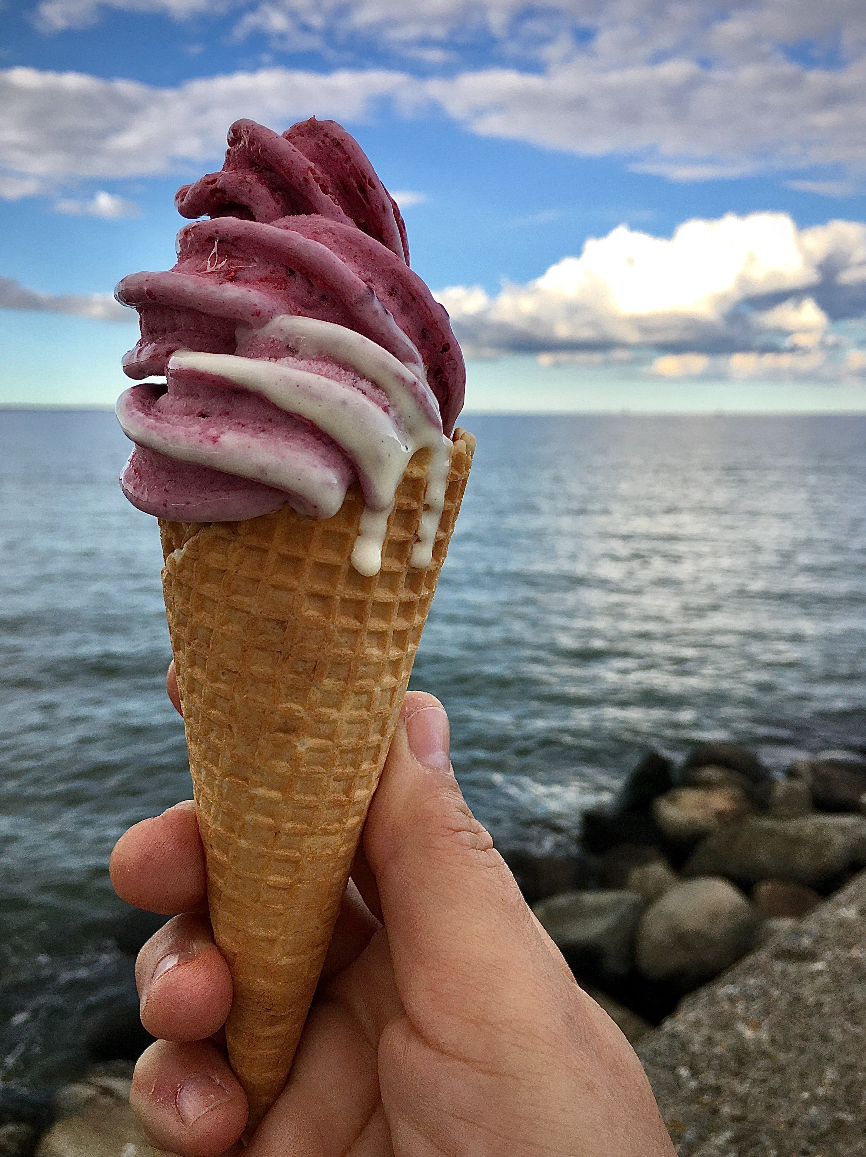 Real fruit ice cream store