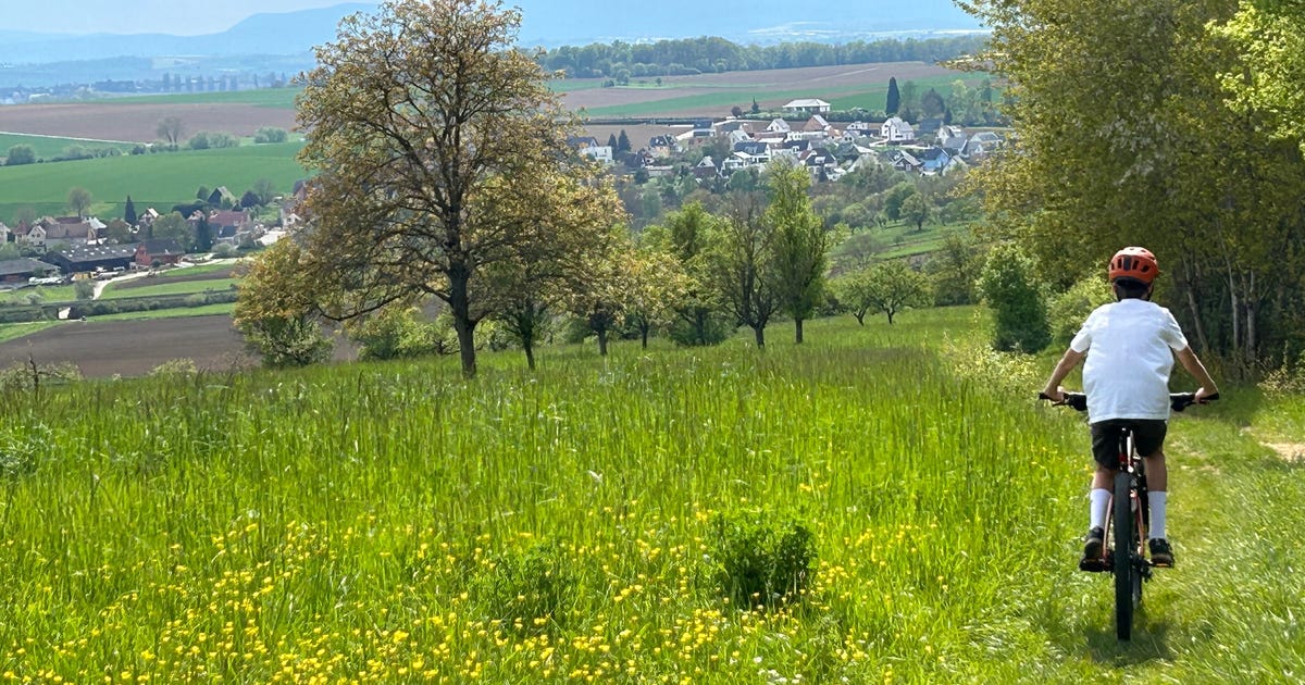 Activités dans la région | Gîtes de la Ferme Ingwiller Activités dans la région | Gîtes de la Ferme Ingwiller